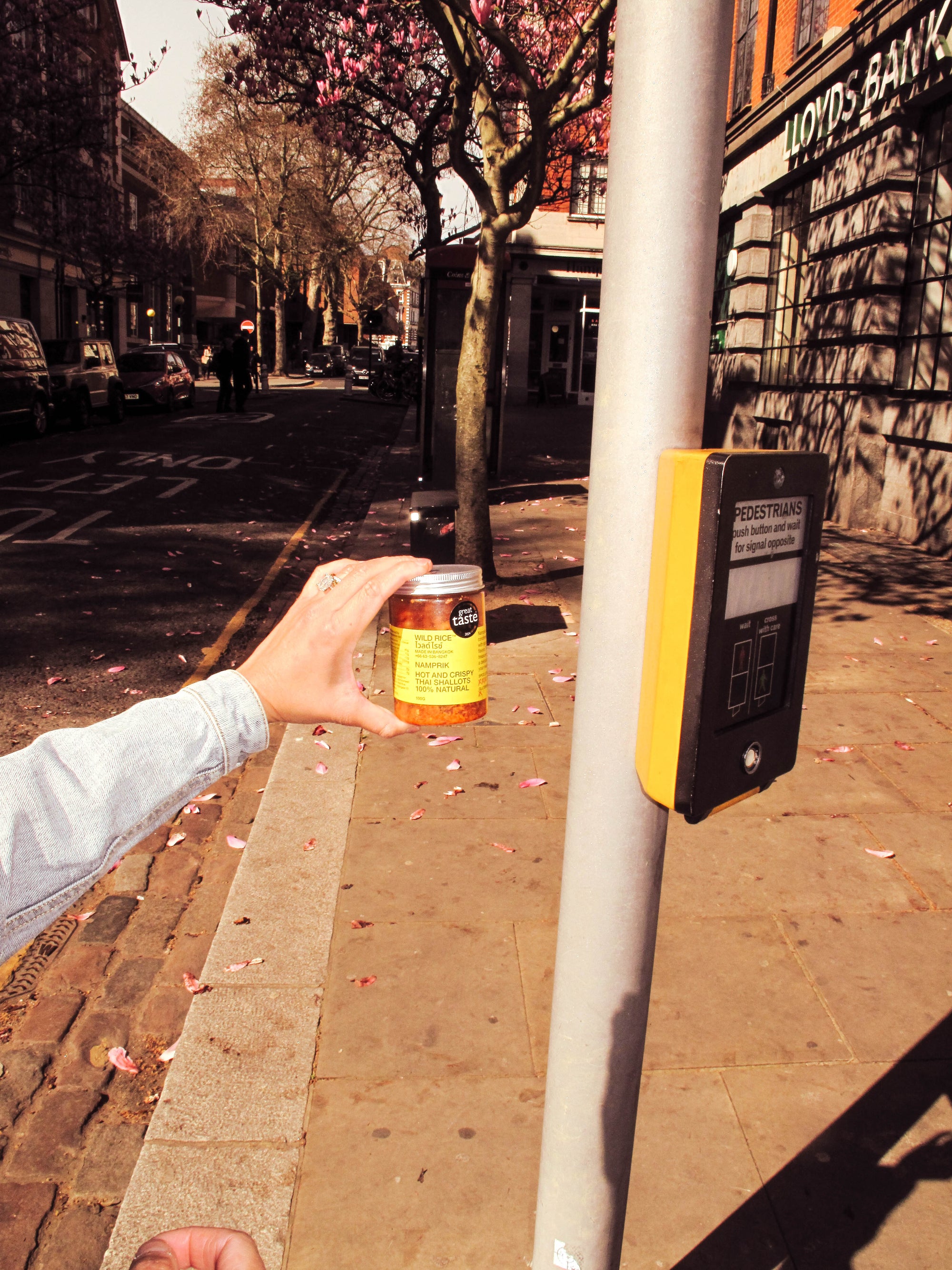 WILD RICE - AUTHENTIC THAI